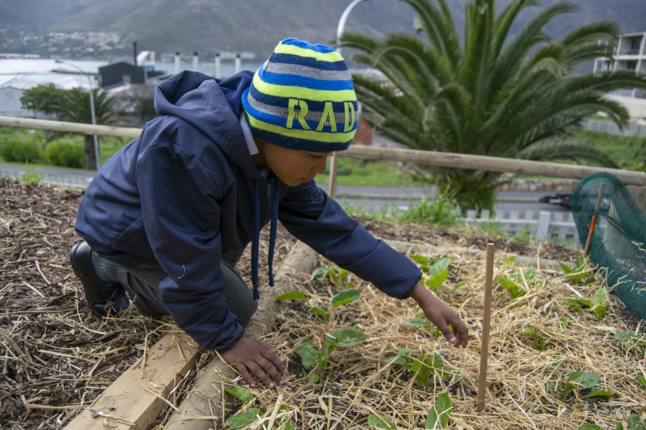 Volunteer activities in Africa - Meraki Bay